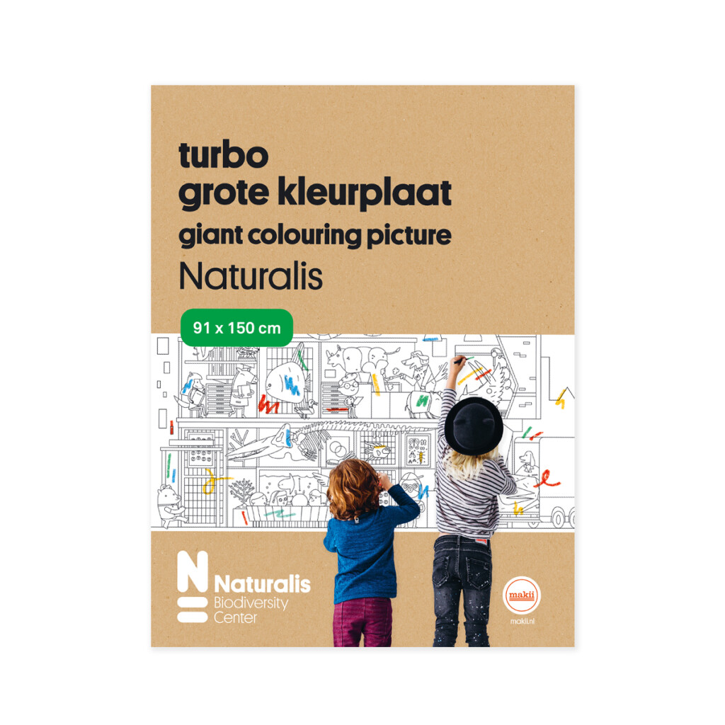 Turbo Coloring Page - Naturalis - Dutch Museum Gift Shop