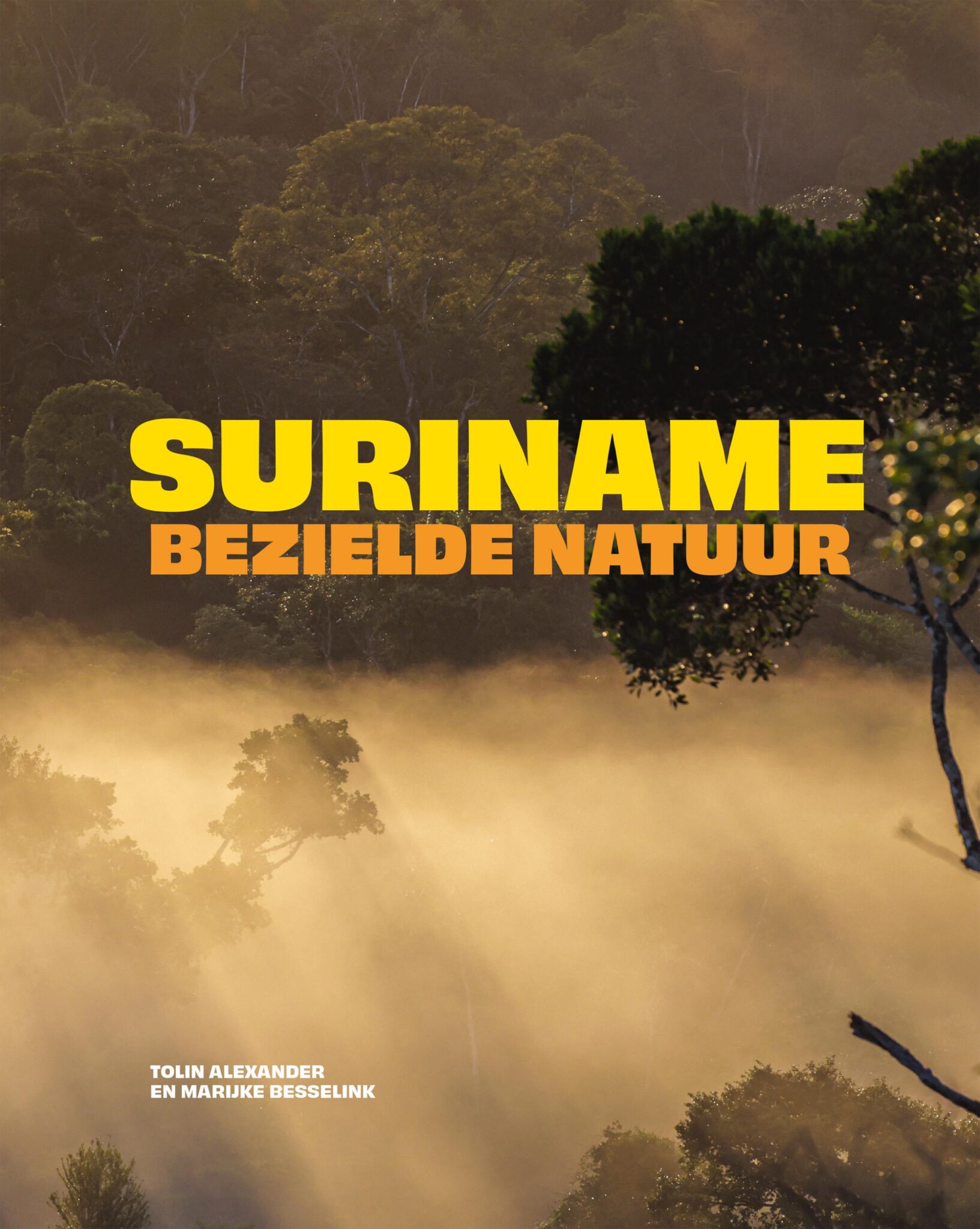 Suriname - Dutch Museum Gift Shop